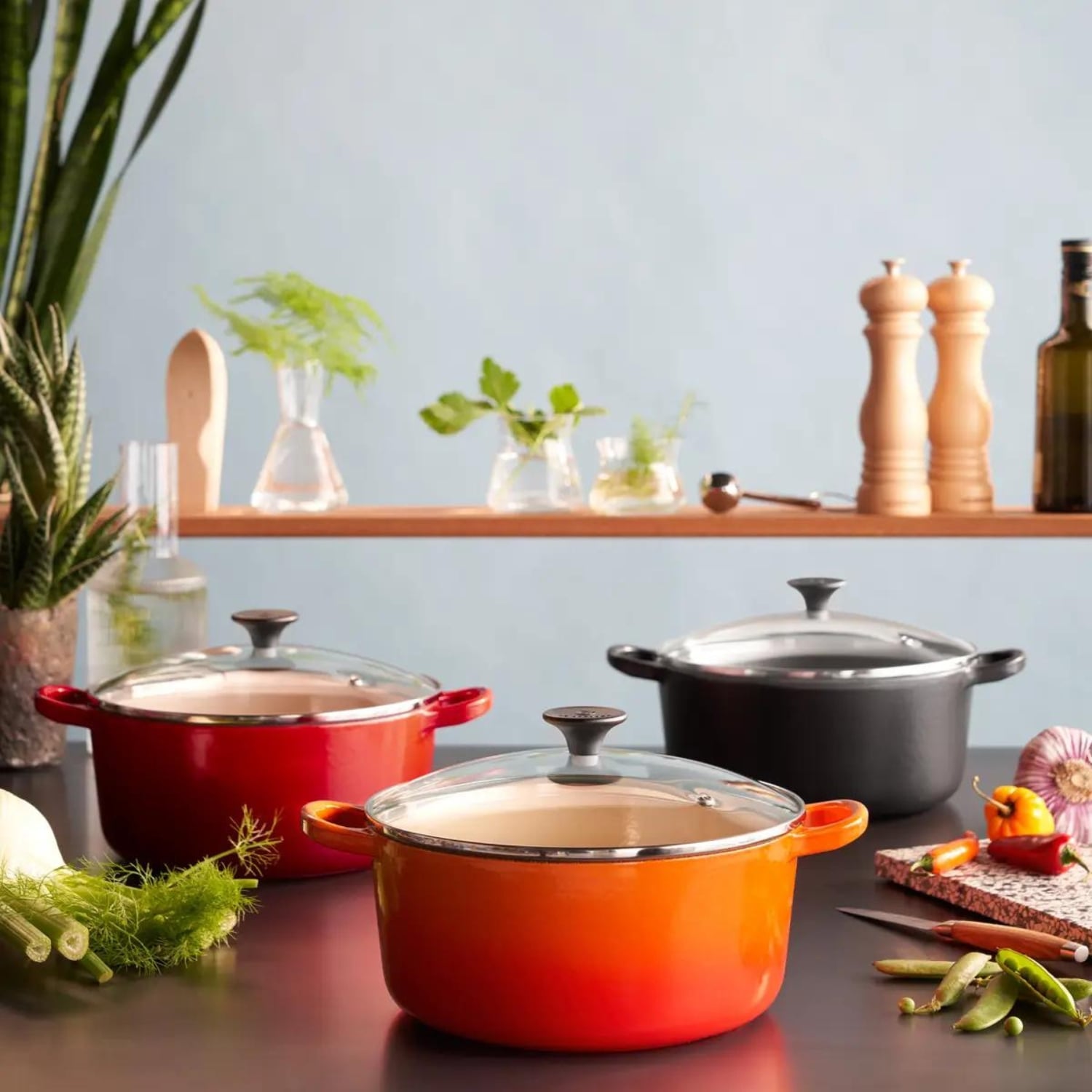 Le Creuset Braadpan 22 cm Rood Glazen Deksel - 27001220602461 ...
